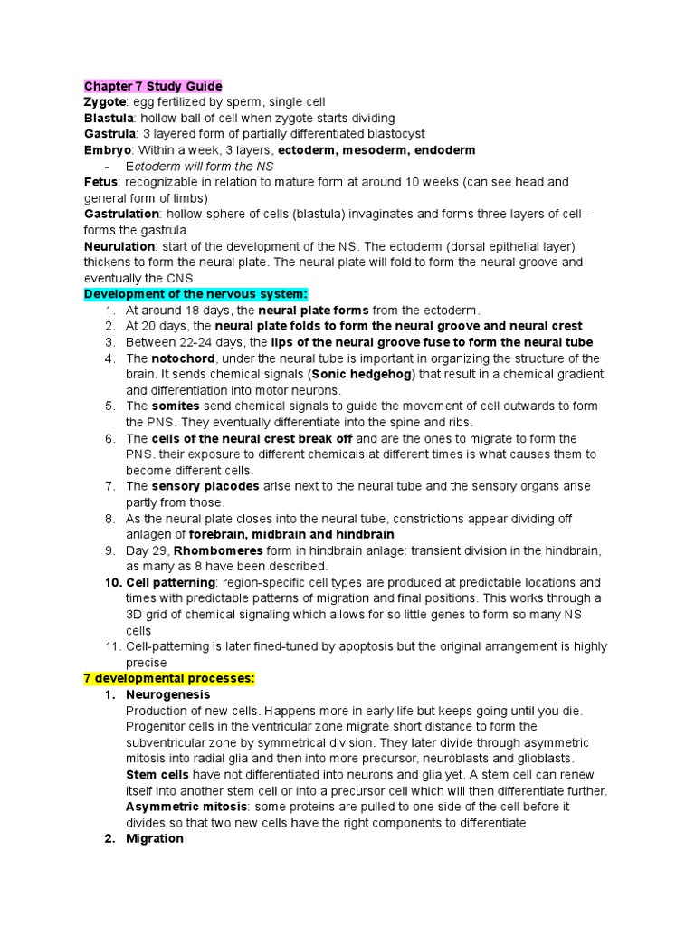 Neuro Exam 3 | PDF | Visual System | Visual Cortex
