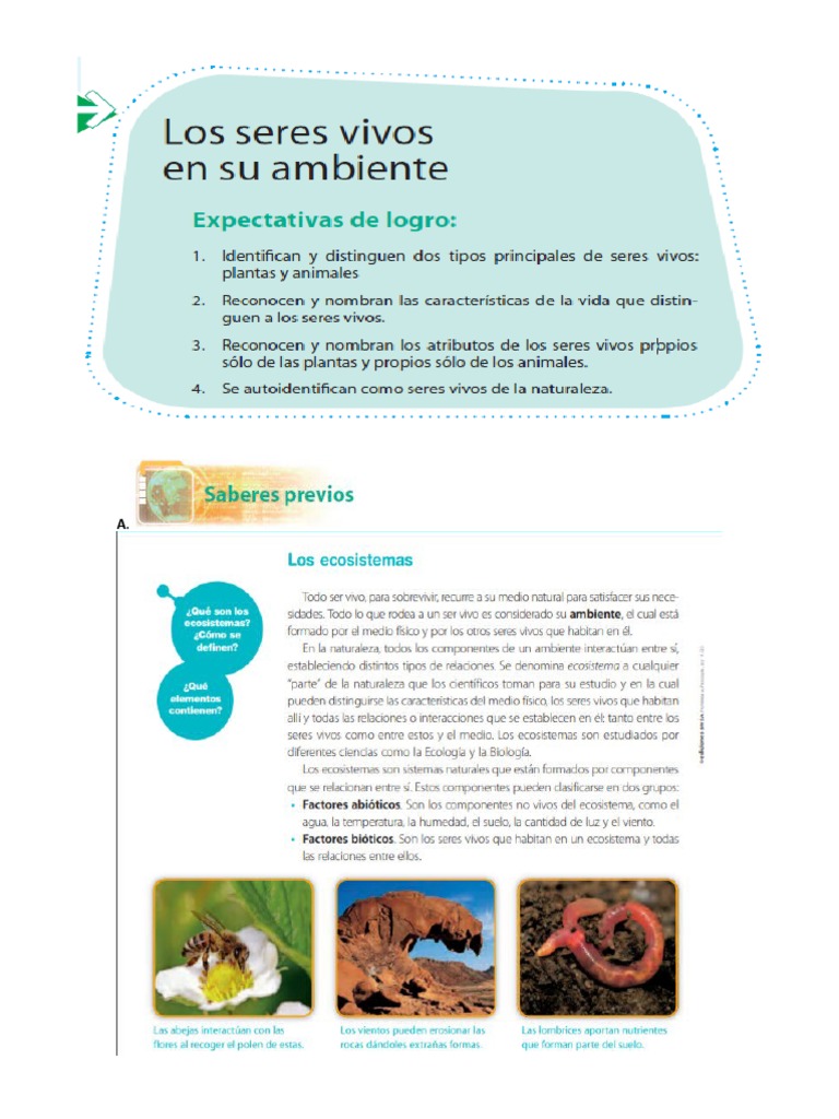 Los Seres Vivos en Su Ambiente Guia | PDF | Plantas | Agua
