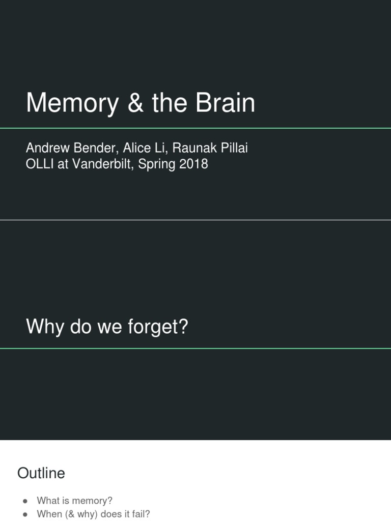 Memory and The Brain | PDF