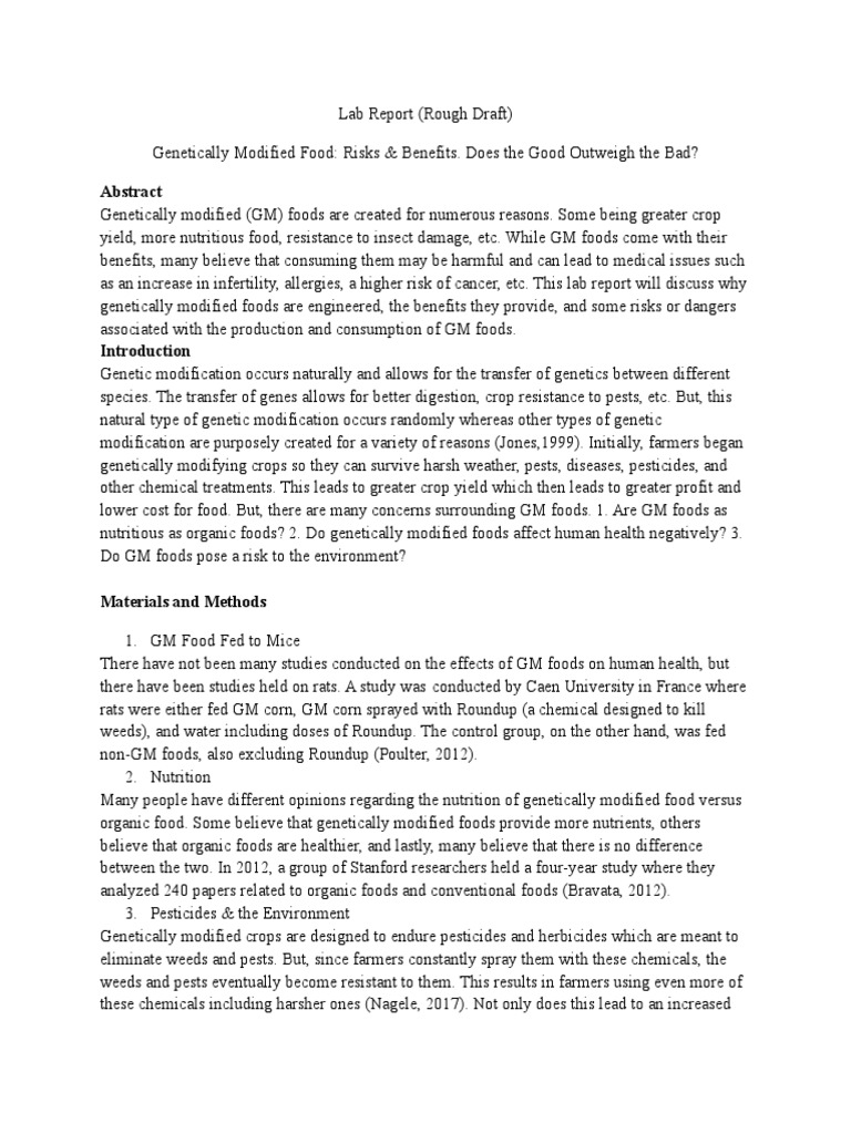 Ayah Ali - Lab Report Draft | PDF