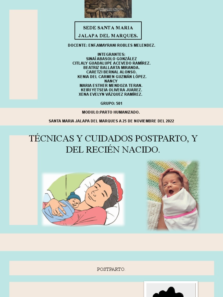 Tecnicas y Cuidados en El Postparto y Recien Nacido. | PDF | Periodo ...