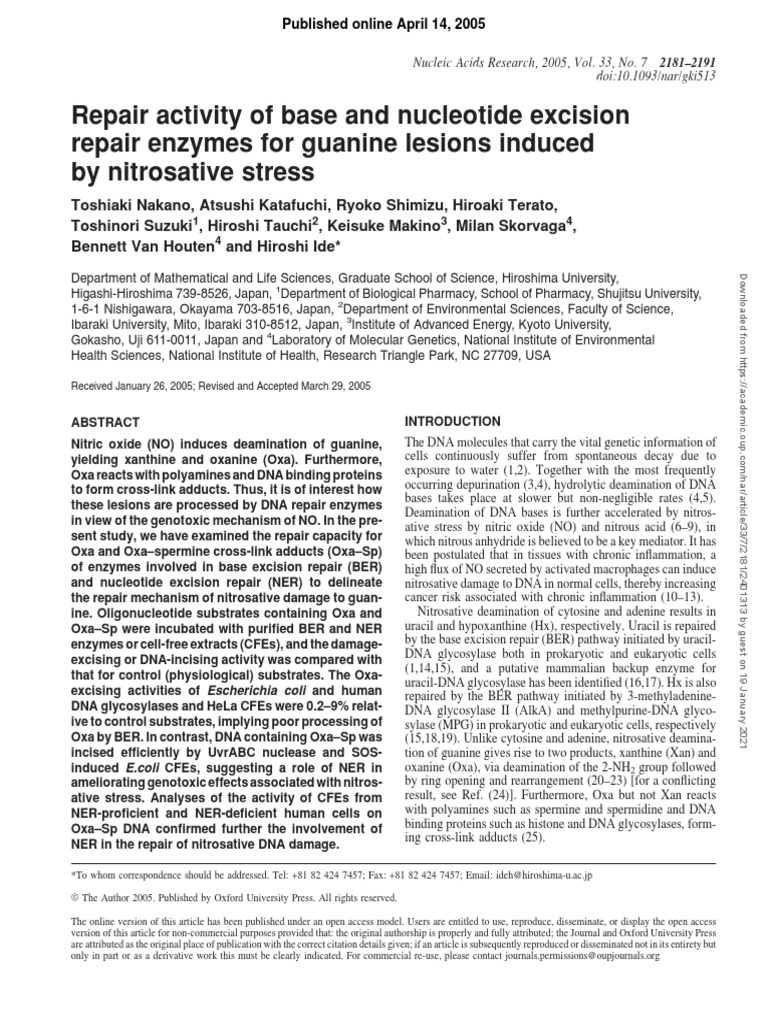 Nakano Et Al. - 2005 - Repair Activity of Base and Nucleotide Excision ...