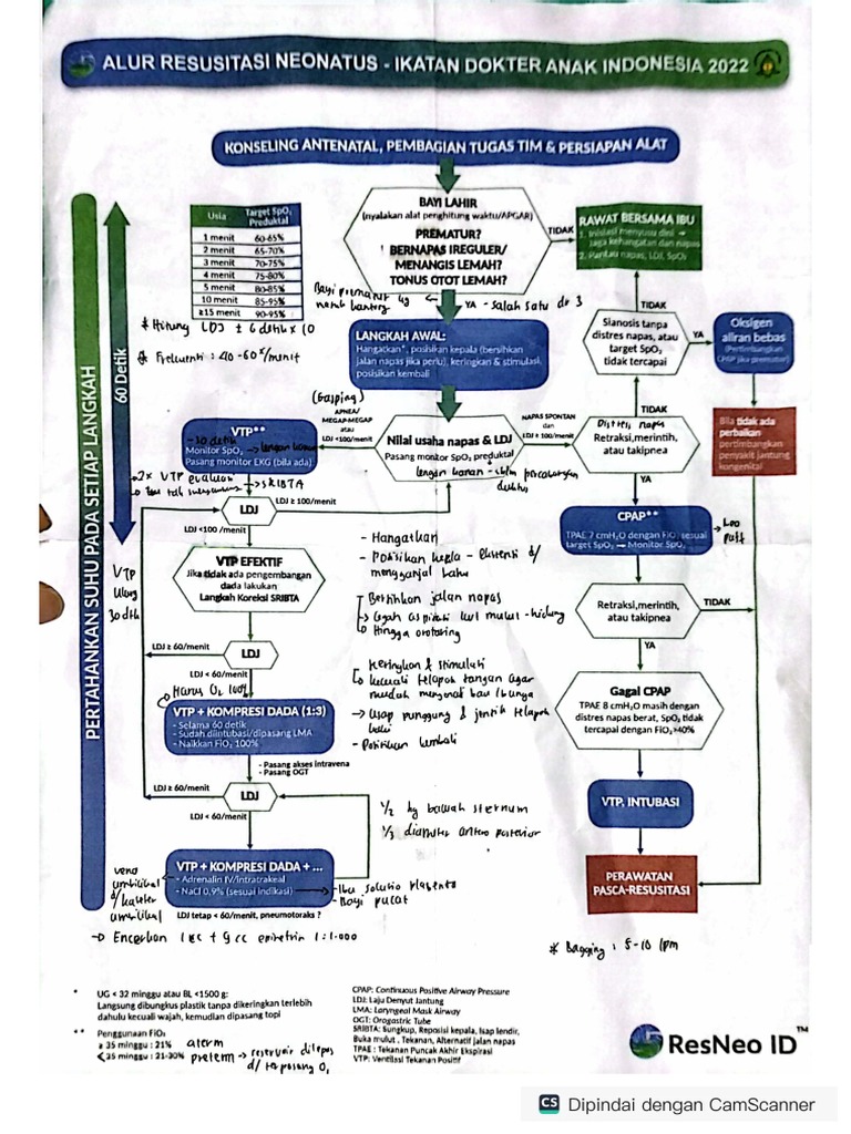 Algoritma Resusitasi Neonatus | PDF