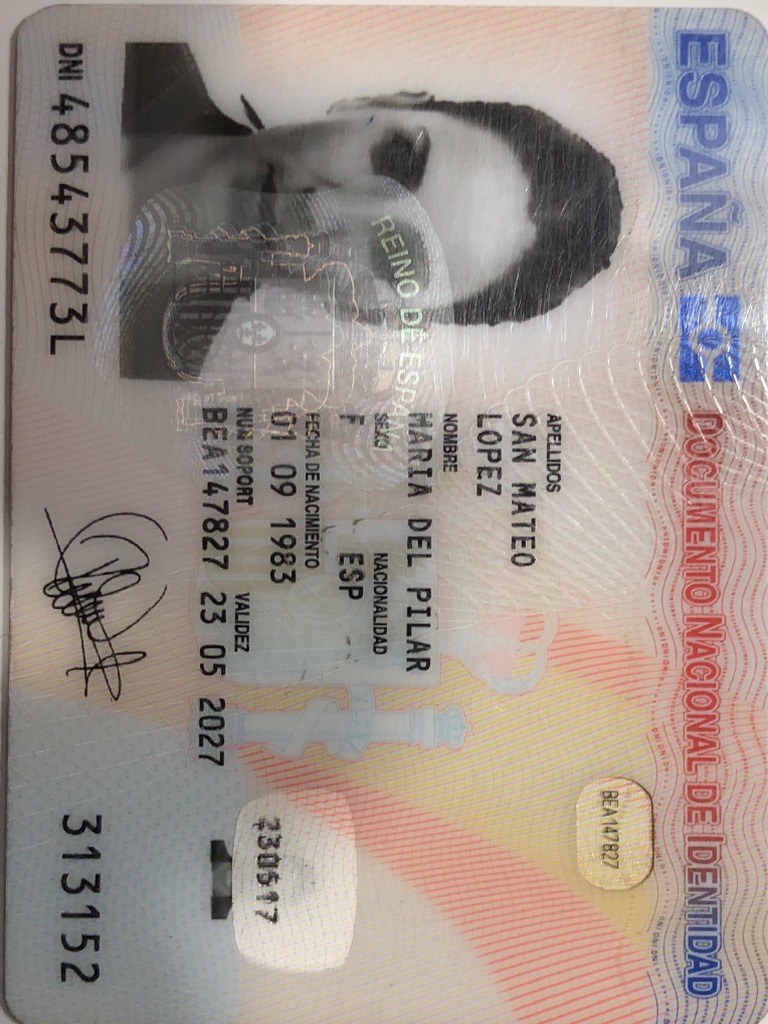 Dni Pilar San Mateo | PDF