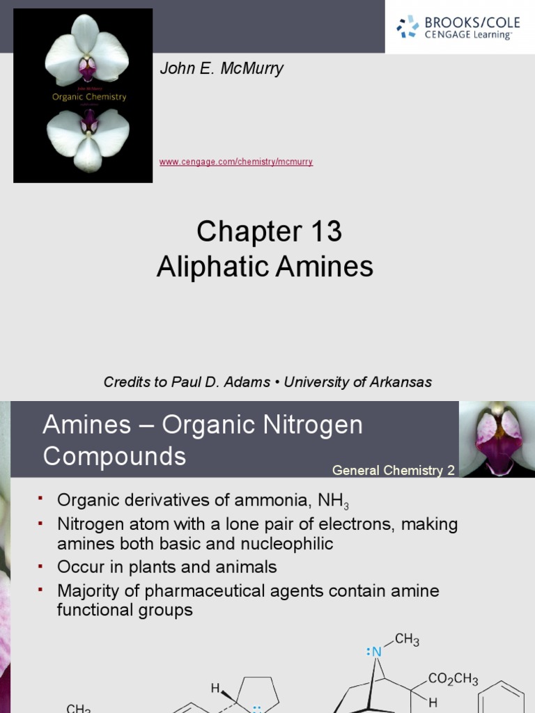 Chapter 13 Aliphatic Amines | PDF | Amine | Chemical Reactions