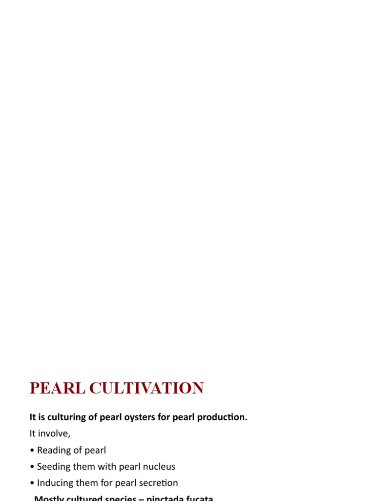 Pearl Culture | PDF | Pearl | Oyster