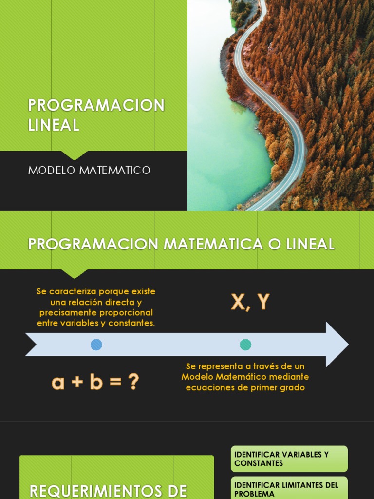 Programacion Lineal | PDF