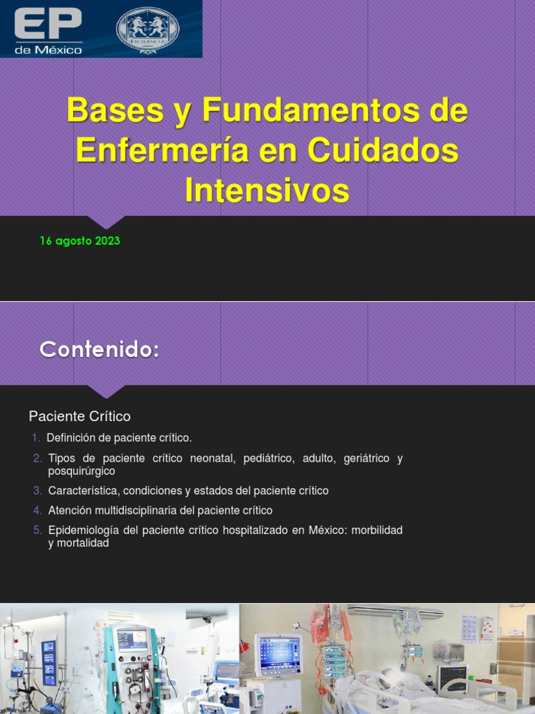 16 08 23 PDF Bases y Fundamentos de Enfermería en Cuidados Intensivos | PDF | Causas de la ...