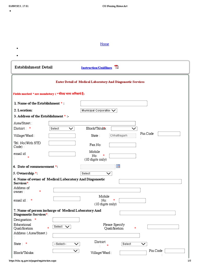 CG Nursing Home Act | PDF | Nursing | Health Care