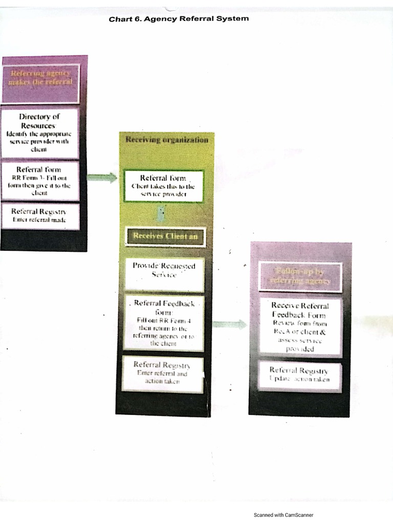 3 Referral System and Flowchart | PDF