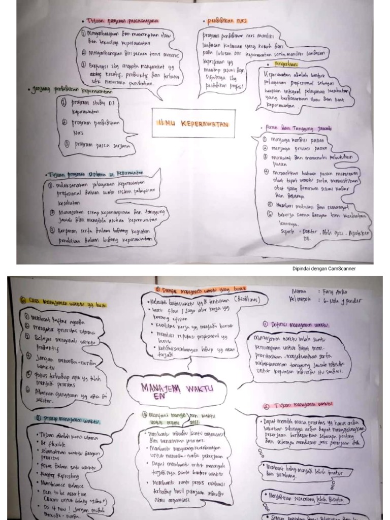 Mindmap Mentoring 2 (Fany) | PDF