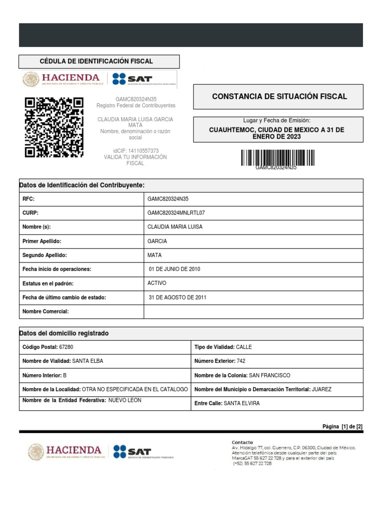 RFC Actualizado Editable | PDF | México | Gobierno