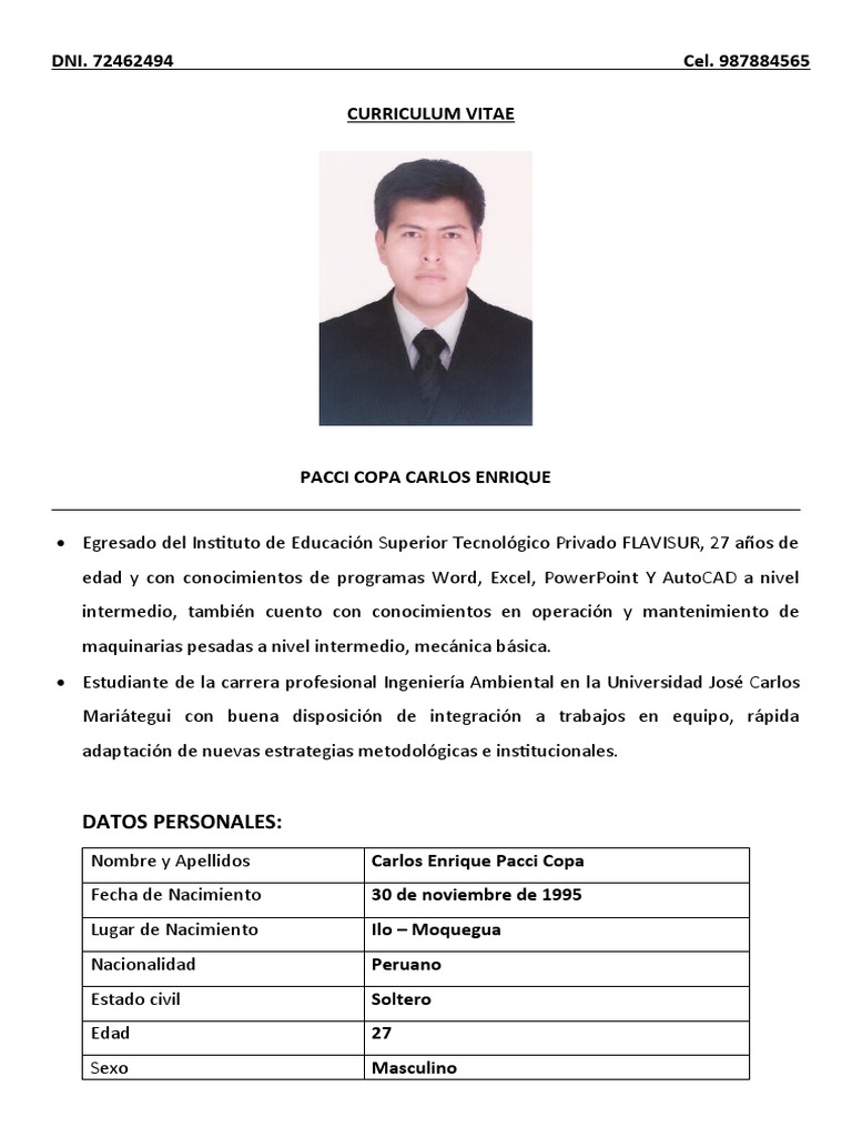 CV - Carlos | PDF
