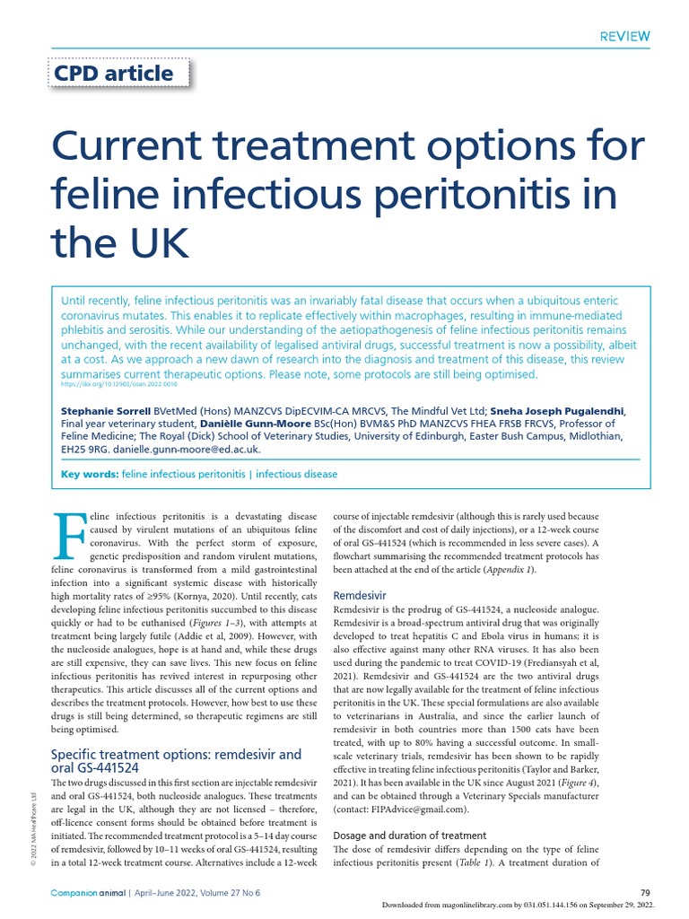 Current Treatment Options For Feline Infectious Peritonitis FIP in The UK | Download Free PDF ...