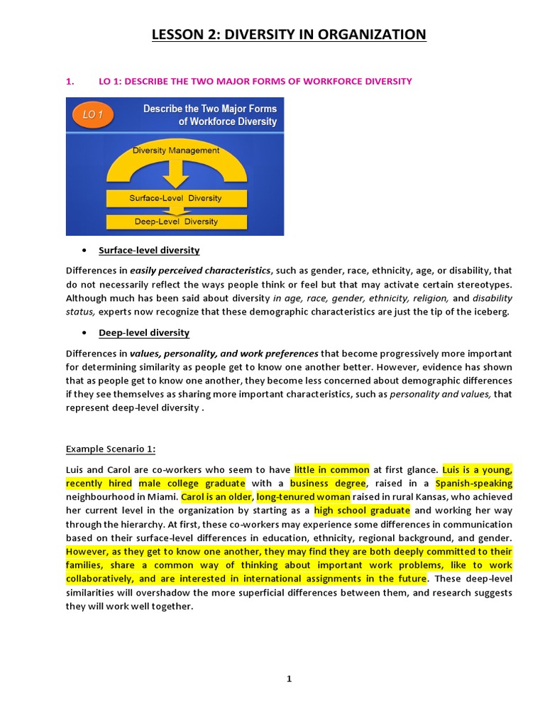 TOPIC 2 - Diversity in Organization | PDF