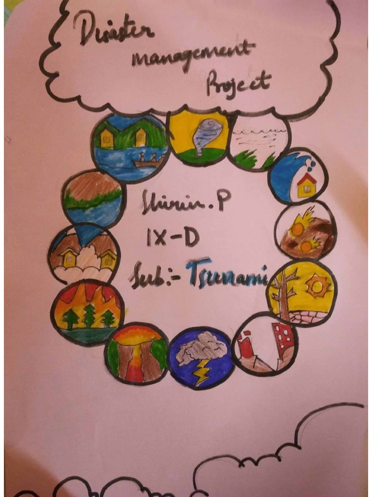 Disaster Management Project | PDF