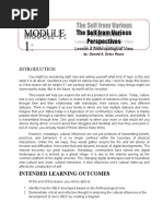 Persepolis Global Issues | PDF | Value (Ethics) | Identity (Social Science)