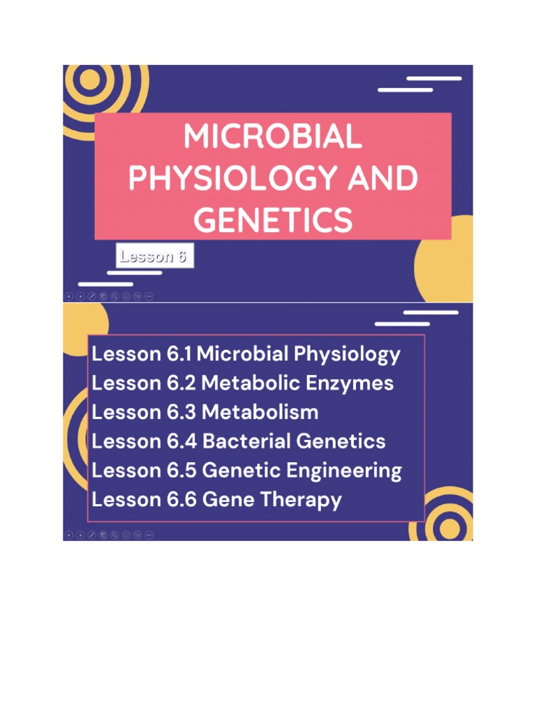 Lesson 6 - 1and2 | PDF