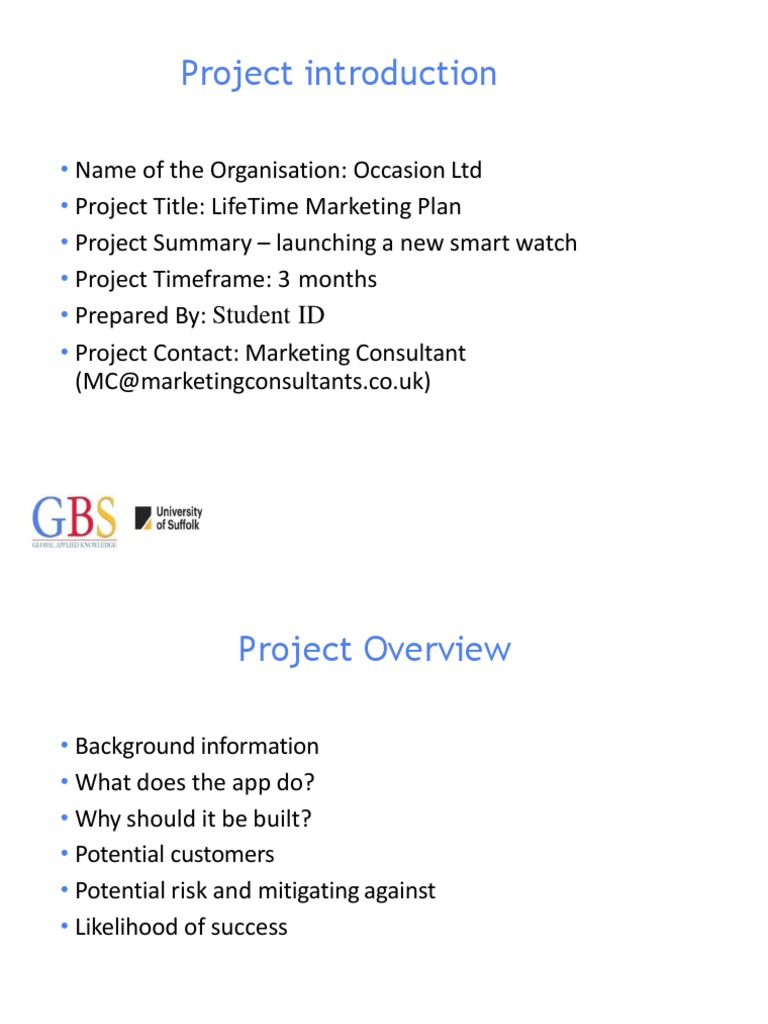 Project Presentation Guide | PDF | Risk | Marketing