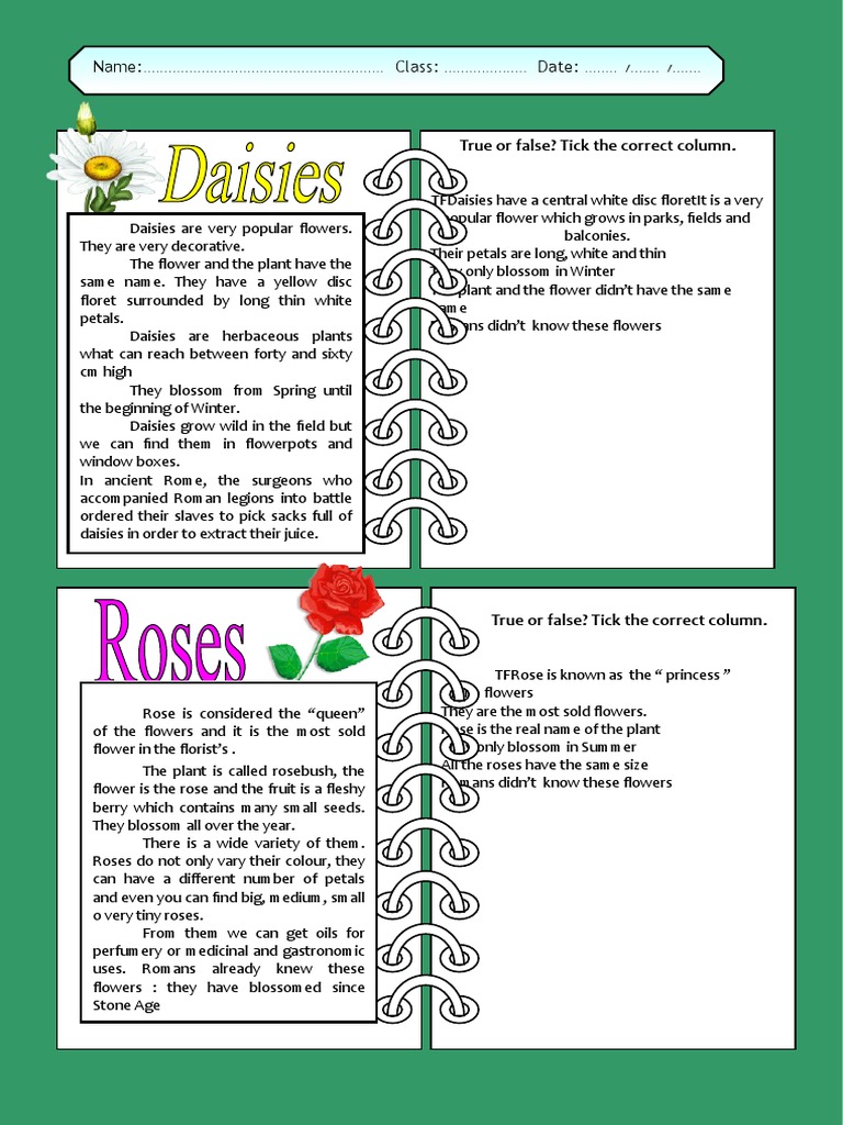 Flowers Reading Comprehension Reading Comprehension Exercises 5261 | PDF