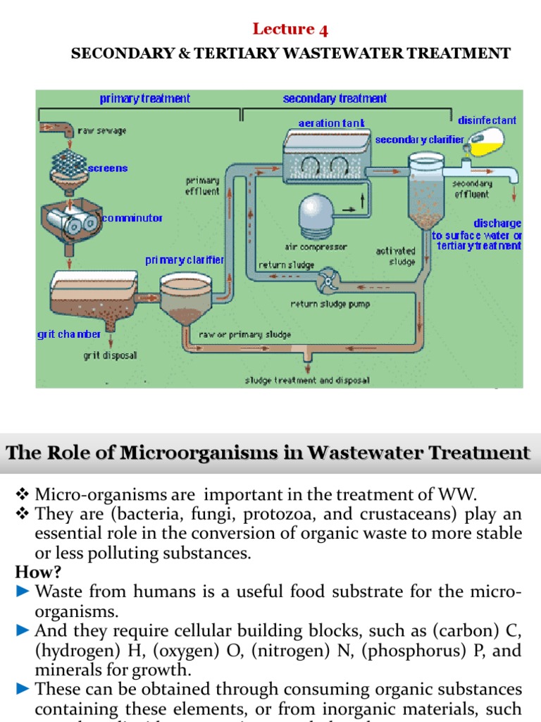 Lecture 4, 5 and 6 WWT | PDF | Cellular Respiration | Sewage Treatment Lecture 4, 5 and 6 WWT | PDF | Cellular Respiration | Sewage Treatment