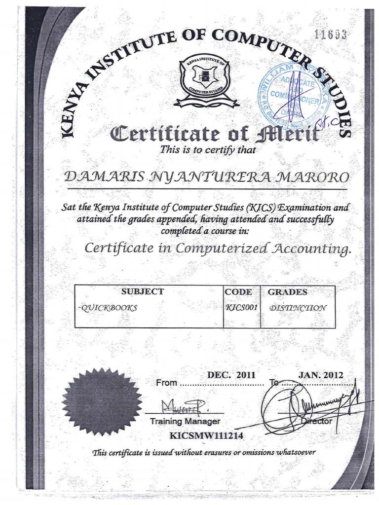 Computerized Accounting Certificate | PDF