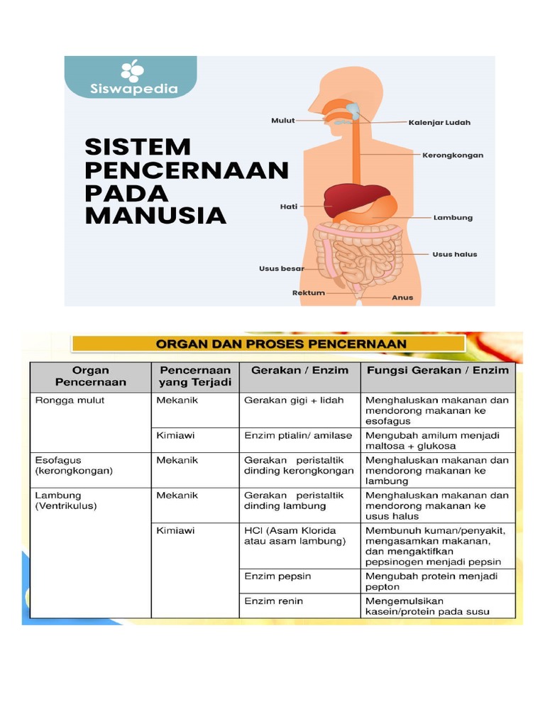 Gambar IPA Bahan Ajar Besok | PDF