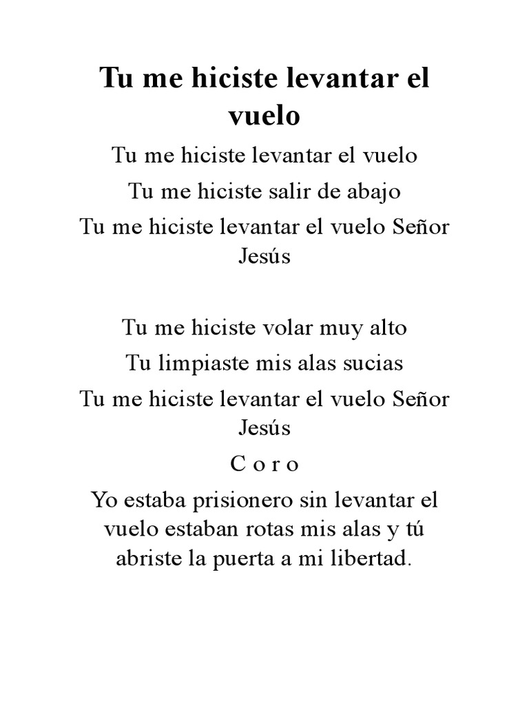 Tu Me Hiciste Levantar El Vuelo | PDF
