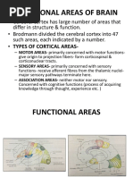 Brodmanns Area Table | PDF | Frontal Lobe | Cerebral Cortex