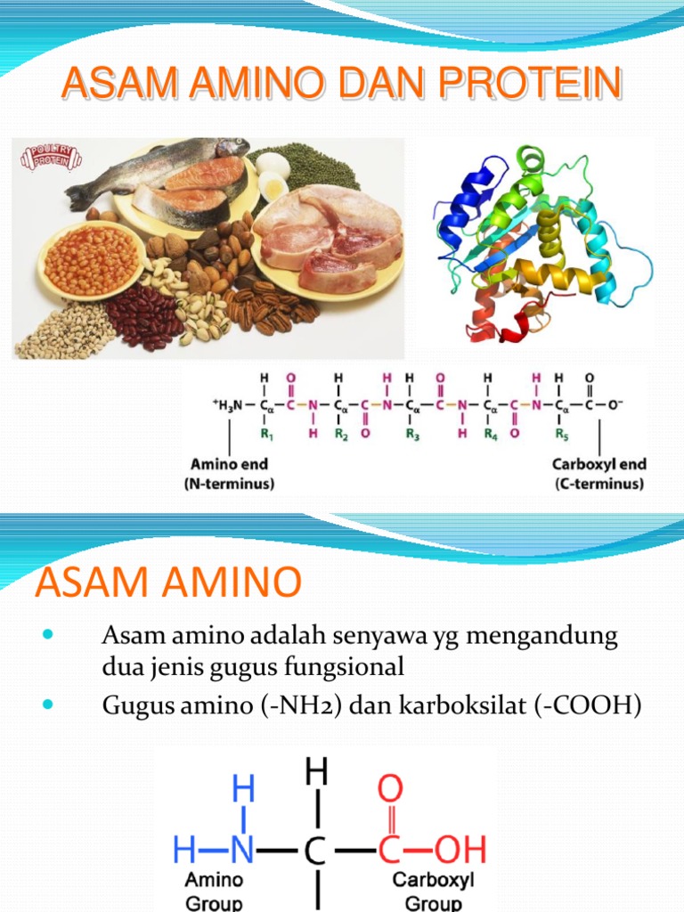 Asam Amino, Peptida, Dan Protein | PDF