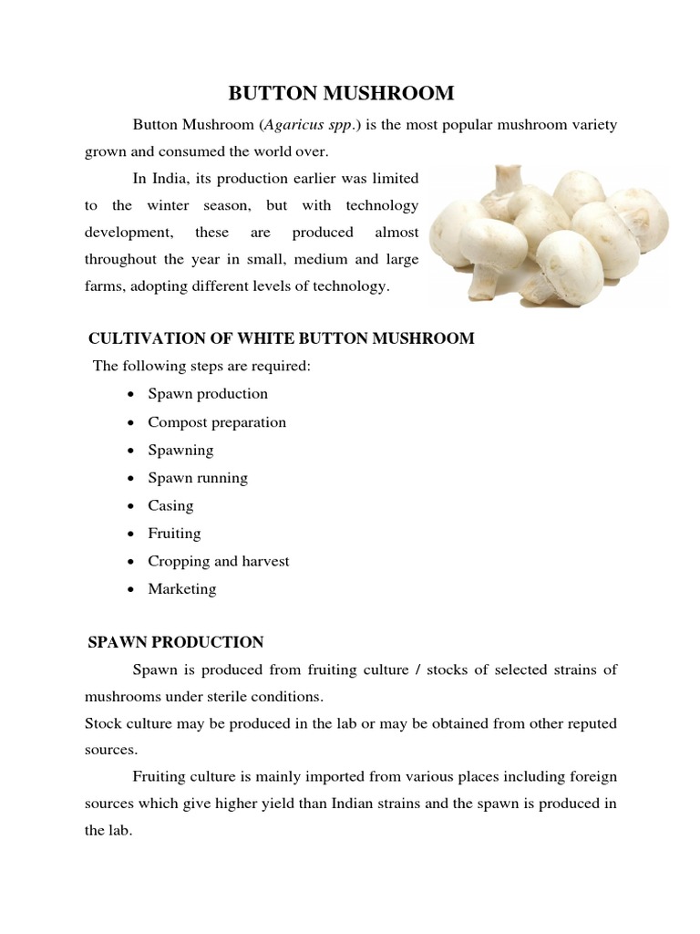 Button Mushroom | PDF | Compost | Mushroom