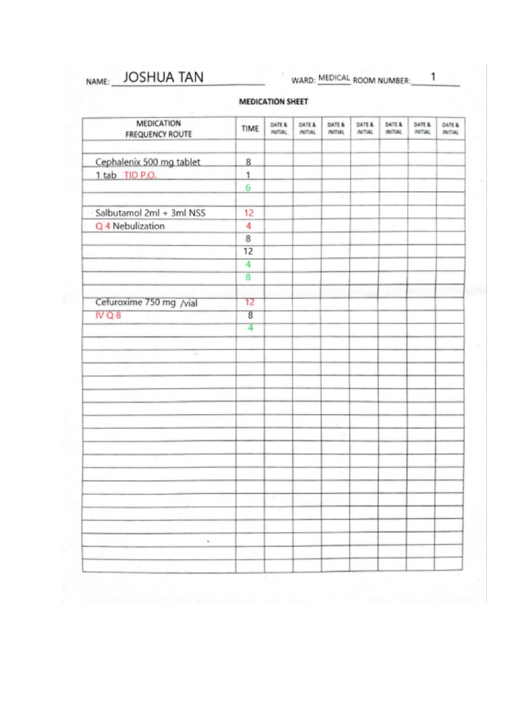 sample-filled-up-medication-sheet | PDF