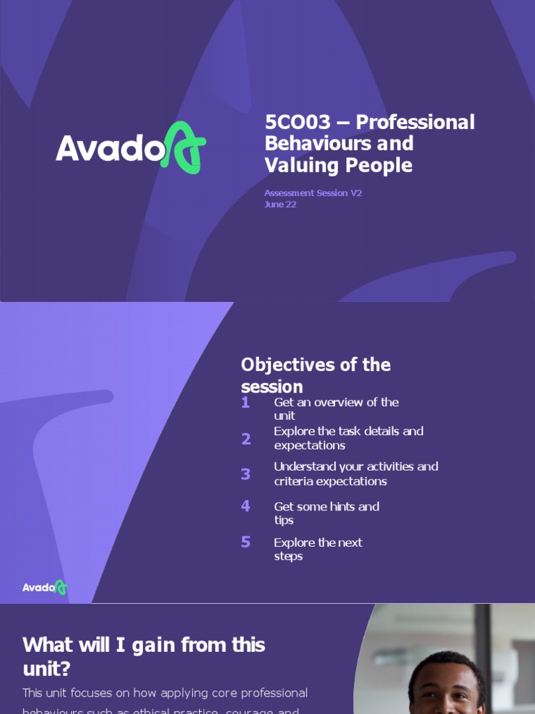 Professional Behaviours and Valuing People | PDF | Employee Retention ...