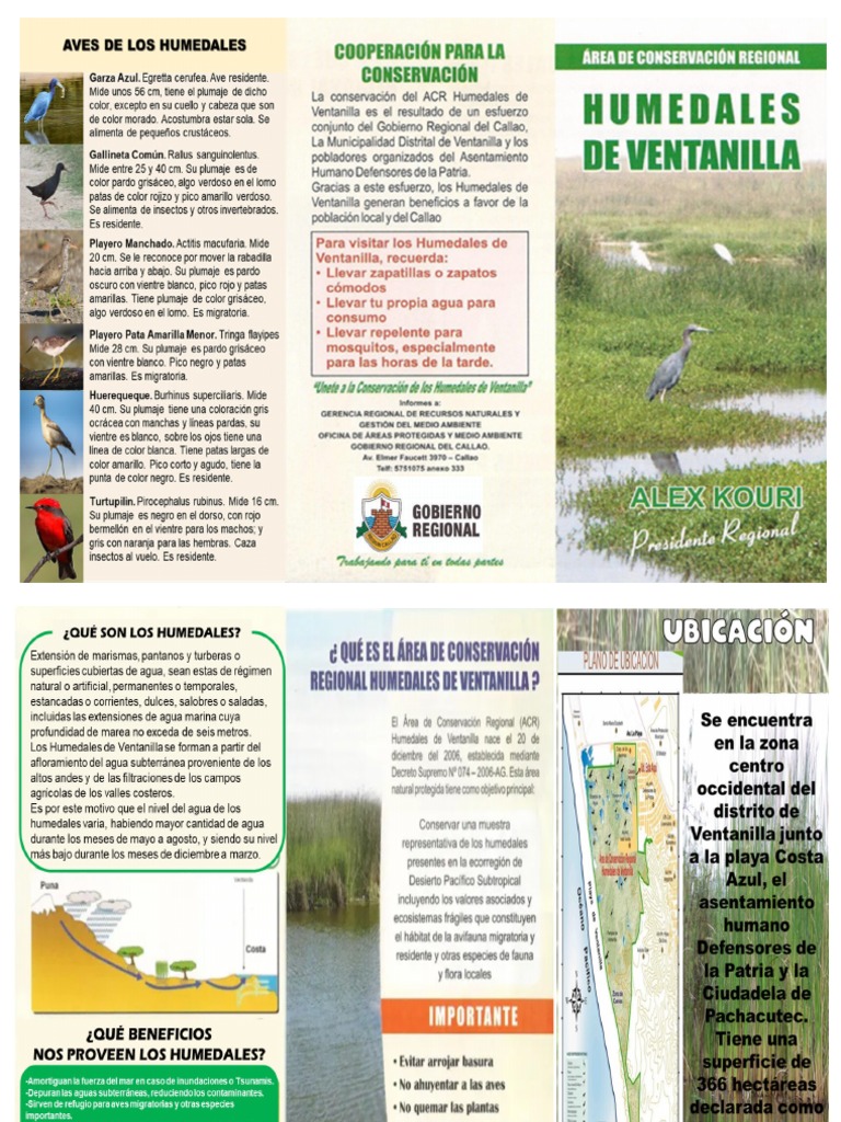Triptico Humedales de Ventanilla | PDF