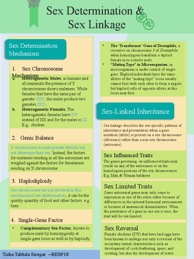 Genetics Poster Sex Determination And Sex Linkage Download Free