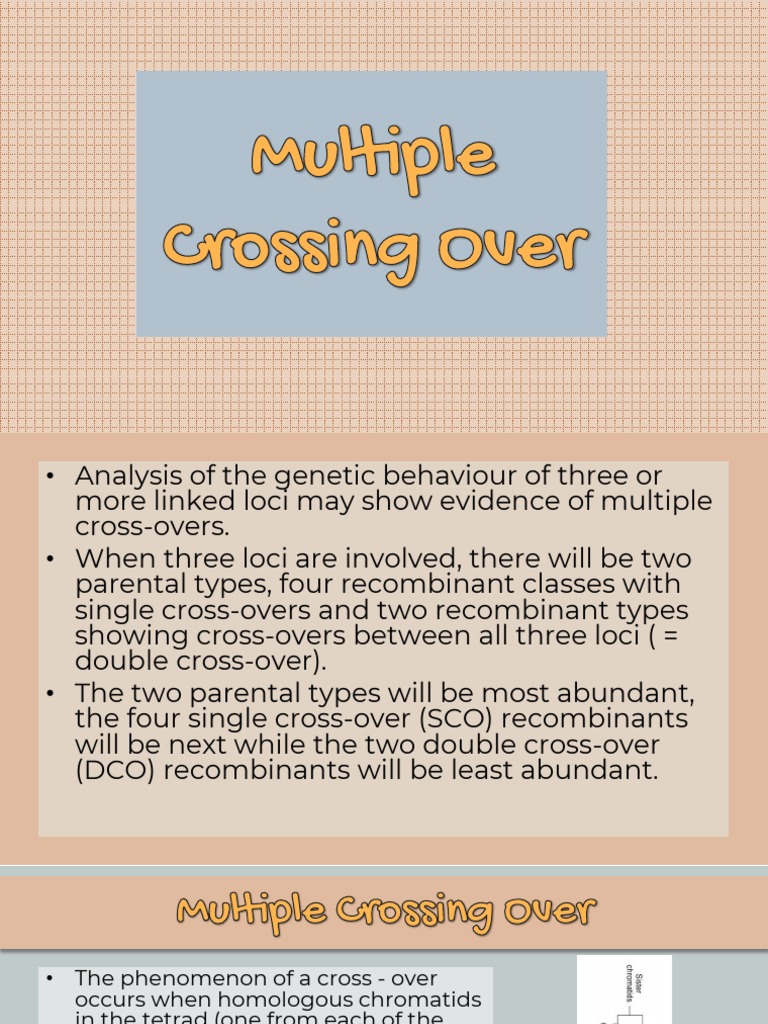 Multiple Crossing Over | PDF | Genetic Linkage | Genetic Recombination