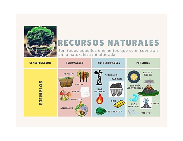 Clasificación de Los Recursos Naturales. | PDF