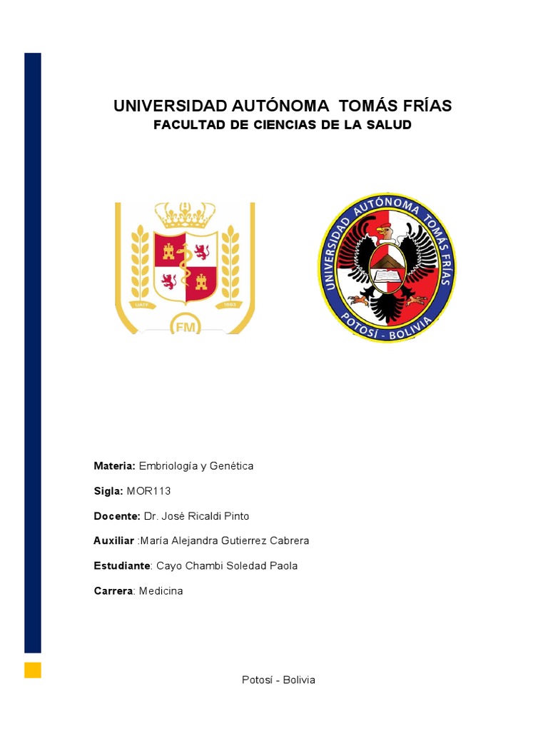 Estadios de Carnegie - Soledad Paola Cayo | PDF