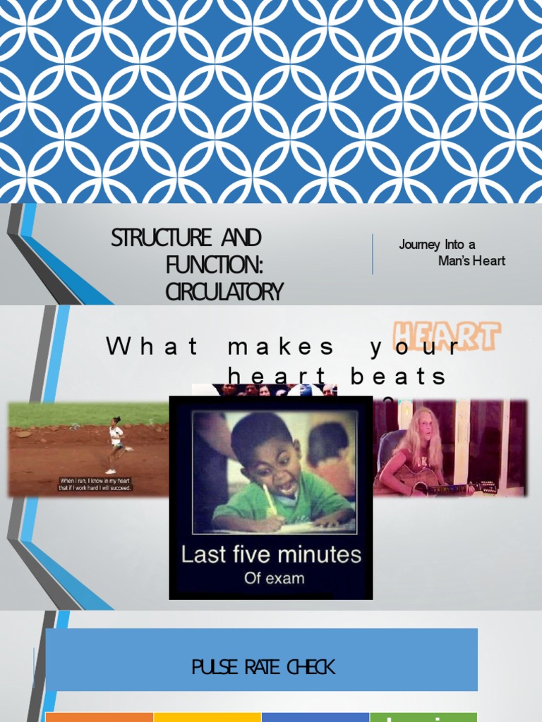 Circulatory System Grade 9 | PDF