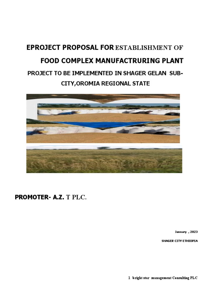 Food Complex Manufacturing Proposal | PDF | Pasta | Economic Growth