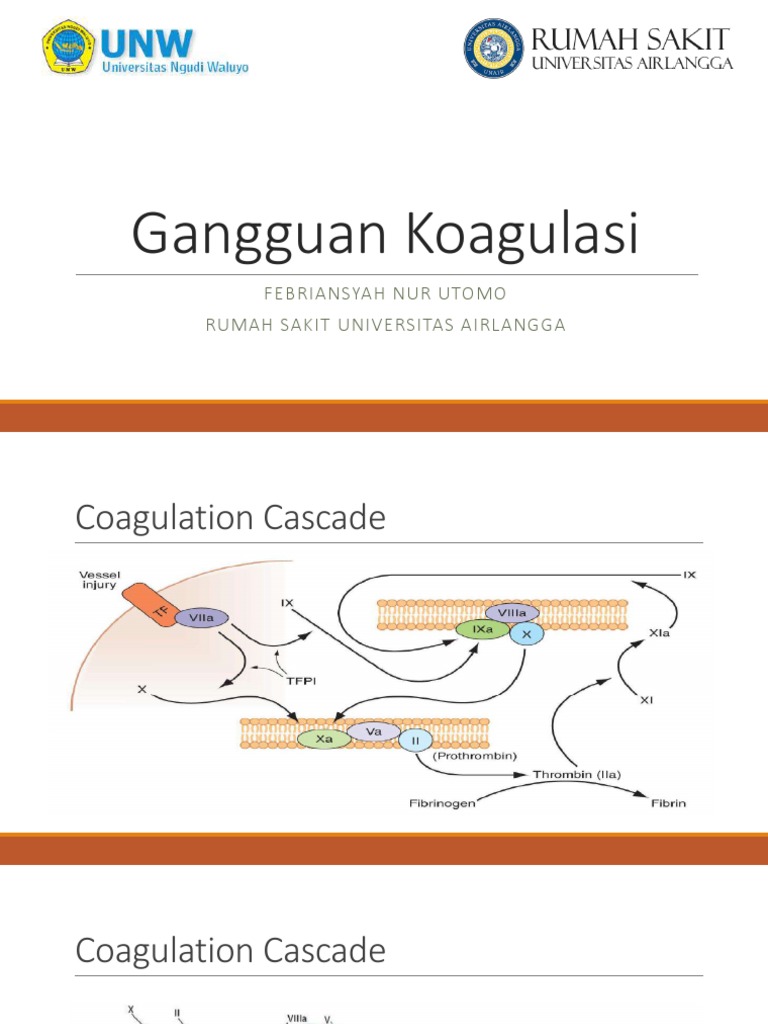 Cascade Koagulasi dan DVT | PDF