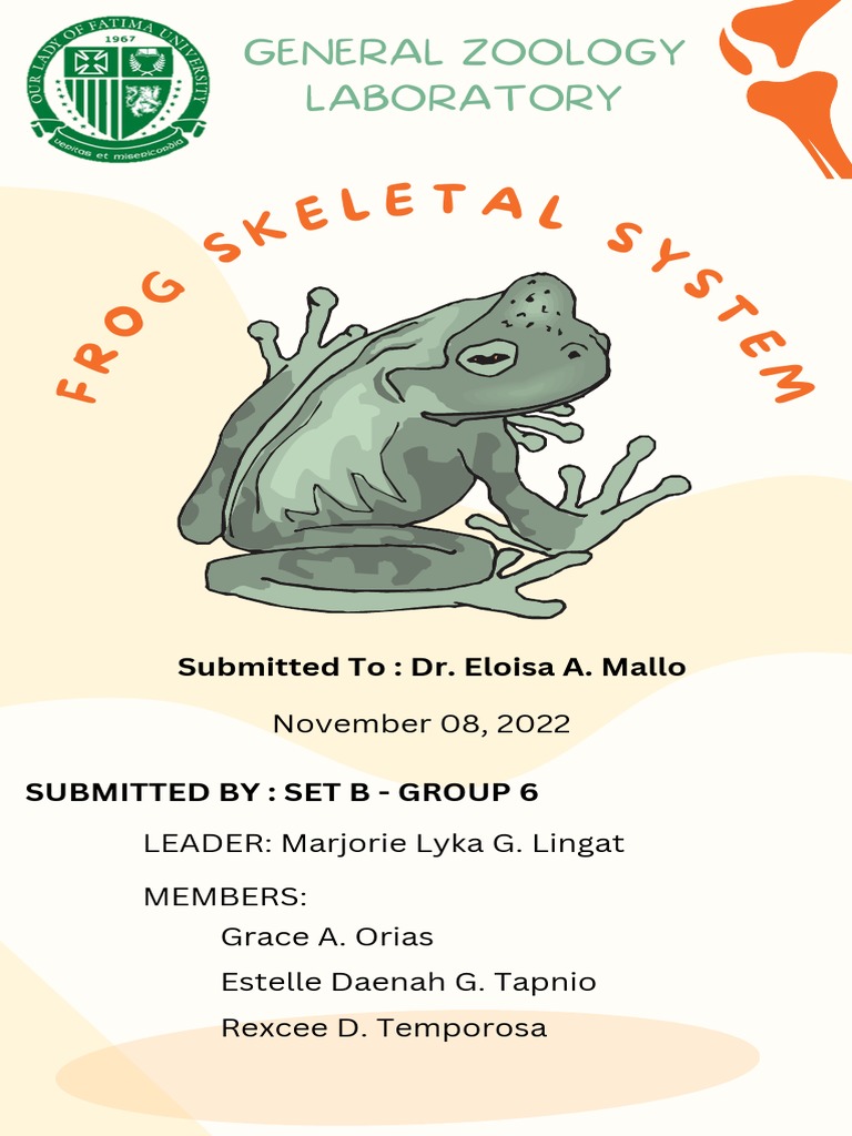 Frog Skeletal System Anatomy Overview | PDF | Musculoskeletal System ...