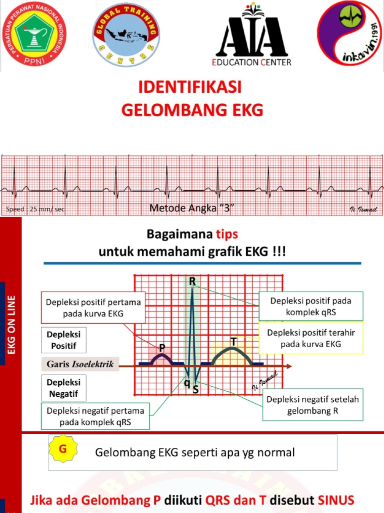 Identifikasi Gel EKG | PDF