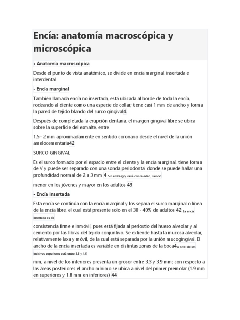 Anatomía de la Encía: Macro y Micro | PDF | Epitelio | Tejido conectivo