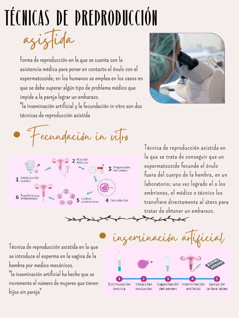 Tecnicas de Reproduccion Asistida | PDF