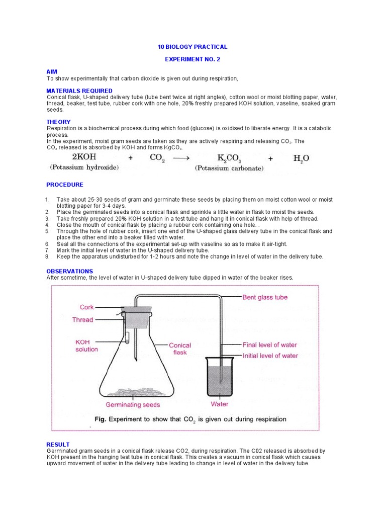 10biology Practical-Respiration | PDF