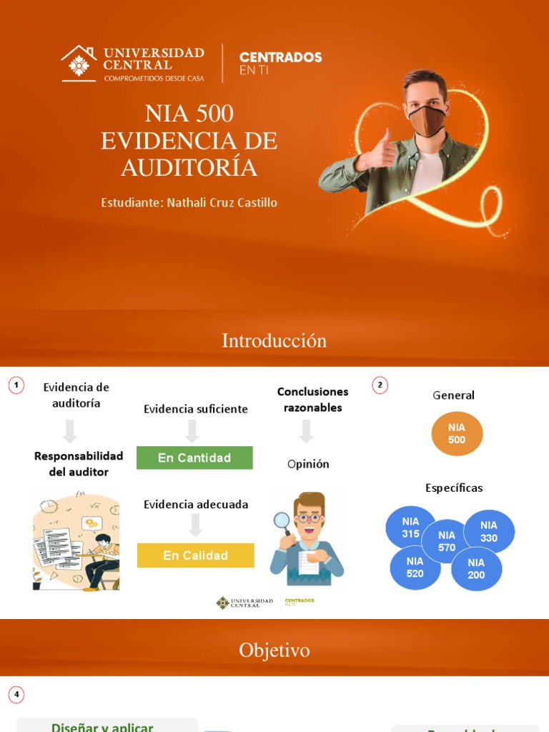 NIA 500 Evidencia de Auditoría | PDF