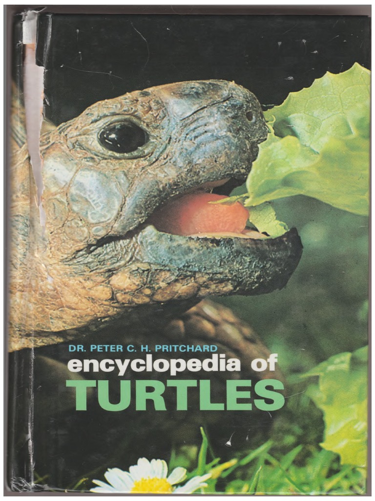 Encyclopedia of Turtles (Dr. Peter C. H. Pritchard) (Z-Library) | PDF ...