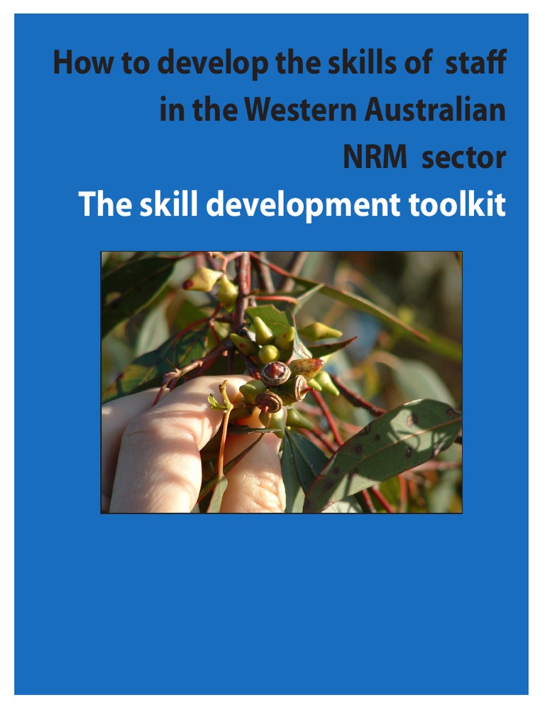 Skills Toolkit Print Final | PDF