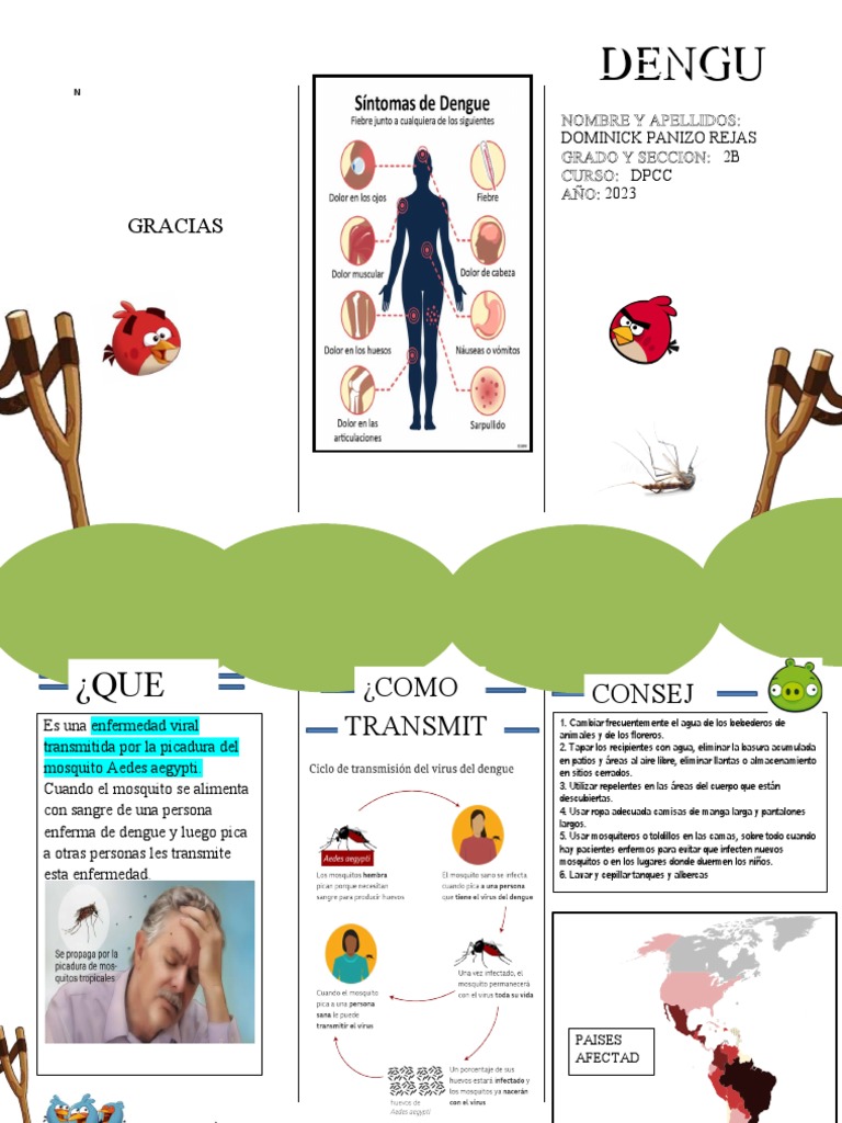 Prevención del Dengue: Guía Esencial | PDF